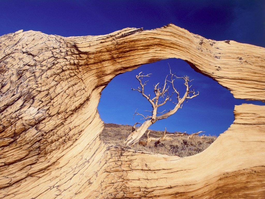 Beautiful Collection Of Nature HD Wallpapers