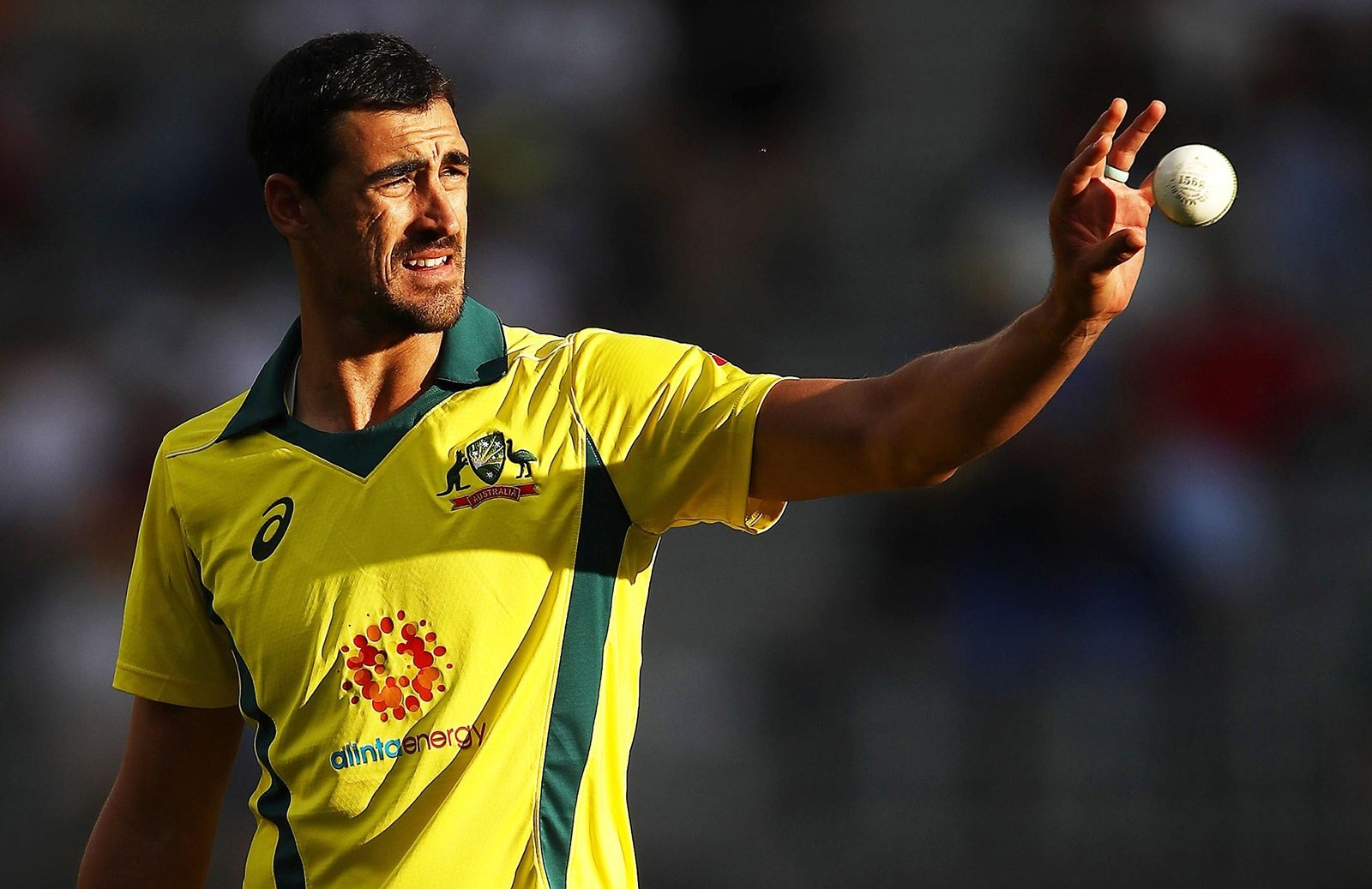 Mitchell Starc Images Wallpapers