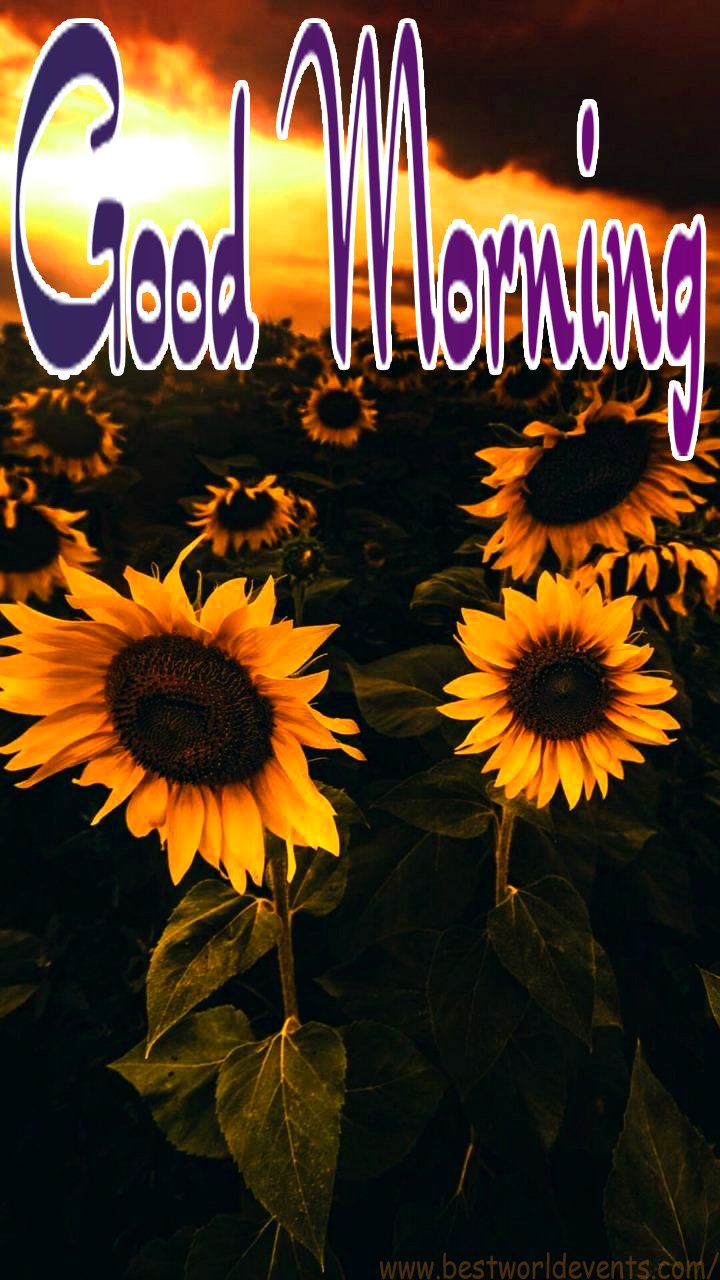 Good Morning Flowers | Good Morning Quotes For Her