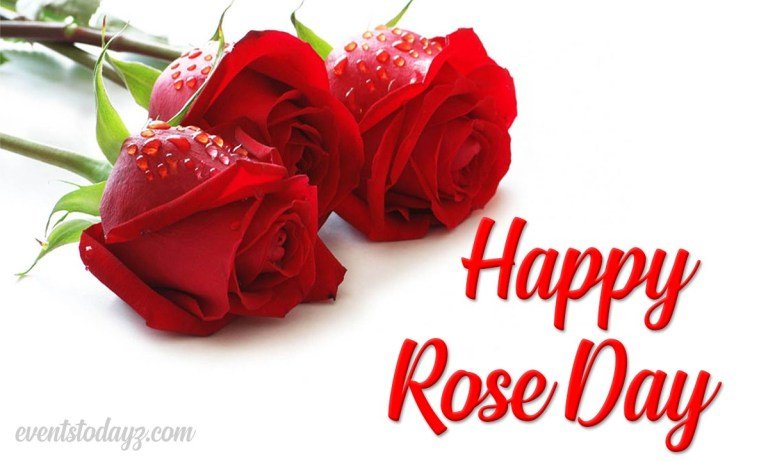 Happy Rose Day Wishes & Messages 2023| Rose Day GIF