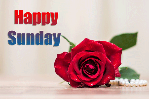Happy Sunday Wishes GIFs With Quotes