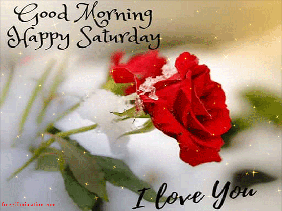 Happy Saturday GIF Saturday GIF Saturday Quotes