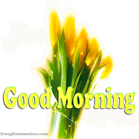 Good Morning Amazing GIF Image Picture