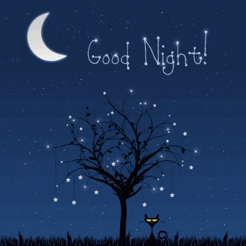 Amazing Good Night GIF Good Night Image Picture